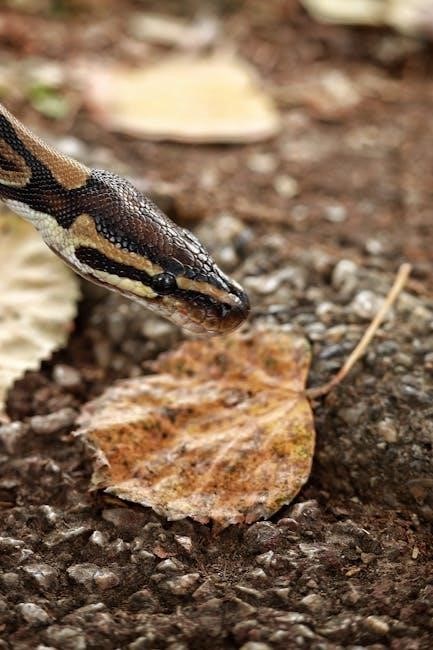 Download Head First Python 3rd Edition PDF - Learn Python the Easy Way!