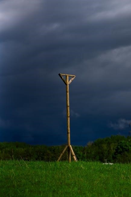 Download "The Lone Ranger and Tonto Fistfight in Heaven" PDF